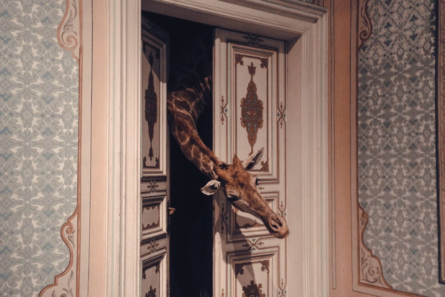 Intrusive Thoughts Why You Have And How To Stop Them